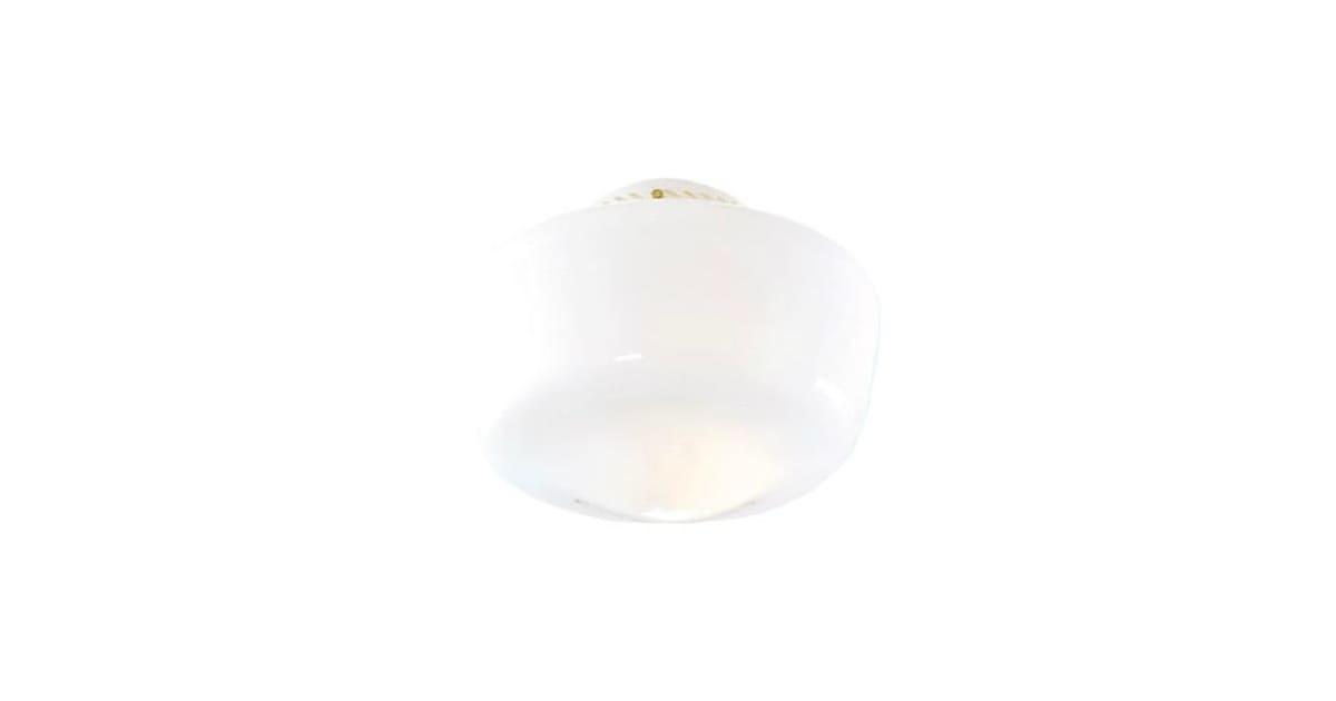 Hunter 22555 10" Opal Schoolhouse Globe Shade | Ferguson Home
