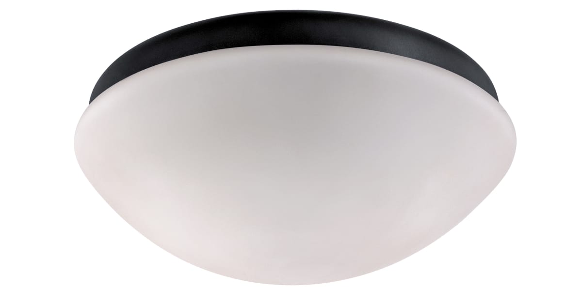Hunter Two Light Ceiling Fan Outdoor Light Kit | Ferguson Home