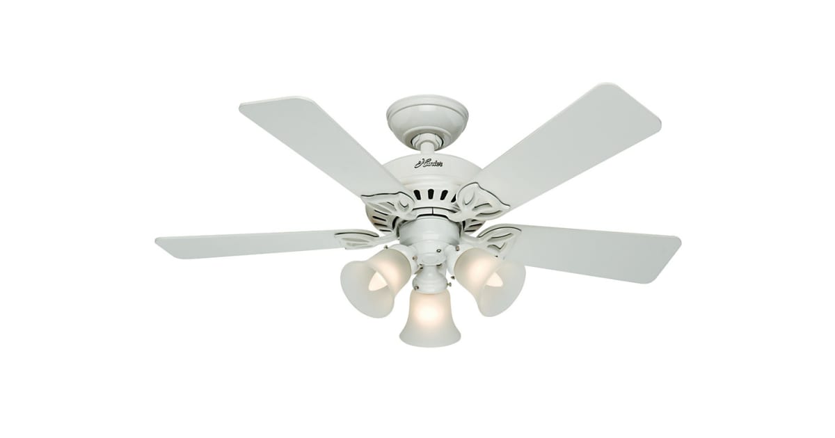 Hunter 42" The Beacon Hill Ceiling Fan, Blades and Light Included ...