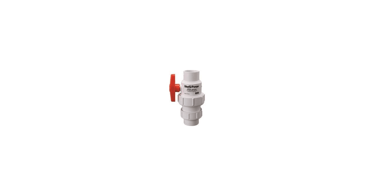 Liberty Pumps BCV200 Check / Ball Valve Combination | Ferguson Home