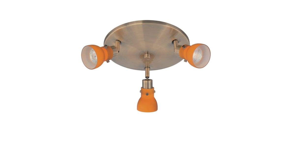 Lite Source LS-17093AB/AMB Accent / Spot Light from the Director II ...