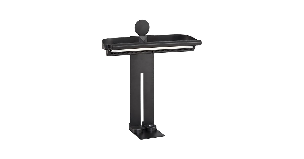 Lite Source LS-22397BLK Lanzo 1 Light LED Accent Lamp | Ferguson Home