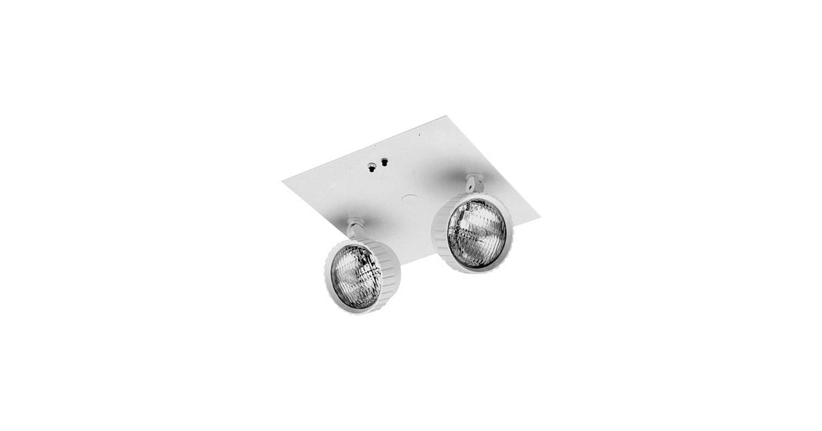 Lithonia Lighting ELR2 2 Light Flushmount Ceiling Fixture | Build.com