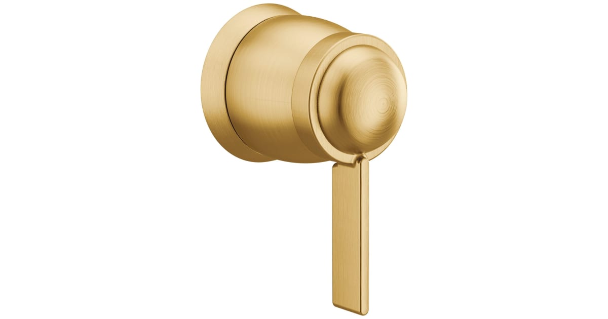Moen T4622BG Cia Single Handle Volume Control Valve Trim - Less Valve ...