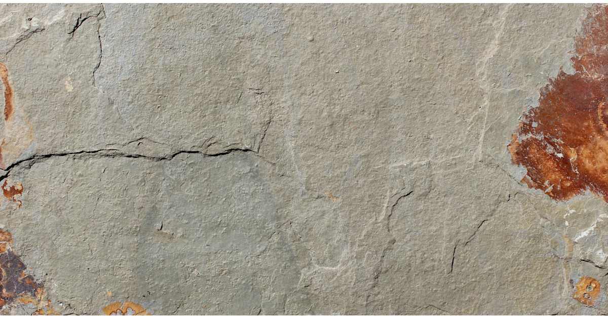 MSI SCALGLD1224G-PLT 12" x 24" Solid Floor and Wall Tile - Textured ...