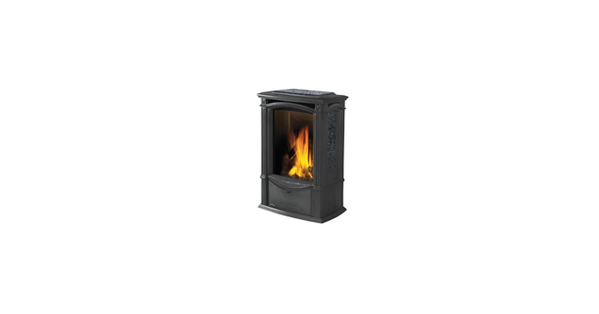 Napoleon GDS26N Castlemore™ 25,000 BTU Direct Vent Cast Iron Natural ...