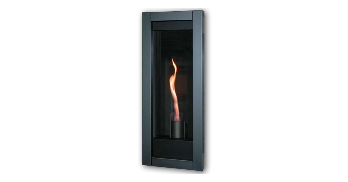 Napoleon GT8P Indoor Torch™ 6,000 BTU Direct Vent Zero Clearance Gas ...