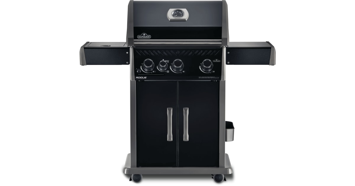 Napoleon R425SIBNBE 45000 BTU 51 Inch Wide Natural Gas Free Standing ...