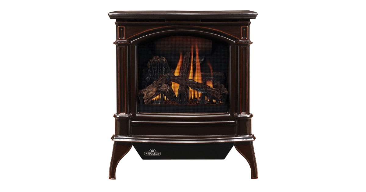 Napoleon GVFS60-1NN 30,000 BTU Vent Free Cast Iron Gas Stove | Ferguson ...