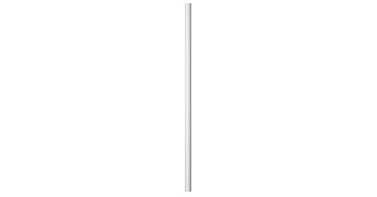 NuTone DR12WH 12 Inch Downrod for Ceiling Fans | Ferguson Home
