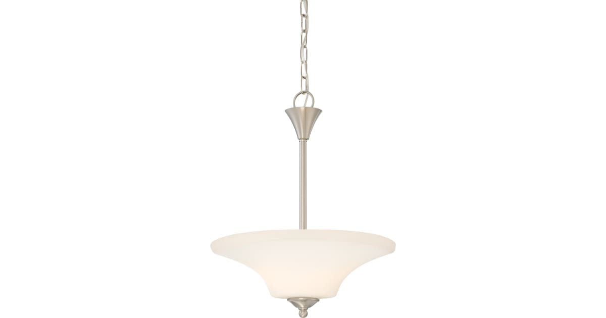 Nuvo Lighting 60/6207 2 Light 16" Wide Pendant | Ferguson Home