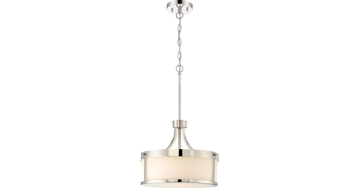 Nuvo Lighting 60/6227 2 Light 14-3/8" Wide Pendant | Ferguson Home