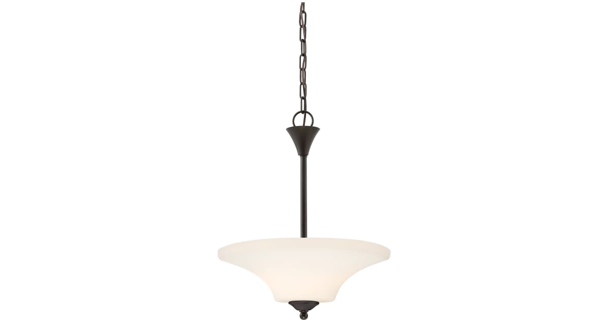 Nuvo Lighting 60/6307 2 Light 16" Wide Pendant | Ferguson Home