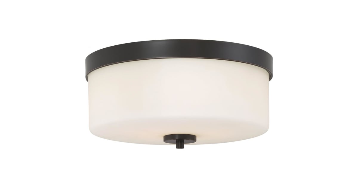 Nuvo Lighting 60/6331 Denver 2 Light 13-5/8" Wide Flush Mount Drum ...