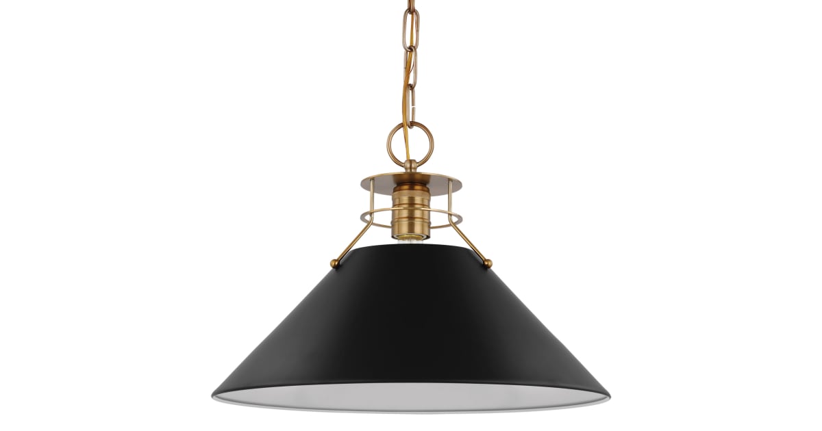 Nuvo Lighting 60/7525 Outpost 17" Wide Pendant | Build.com