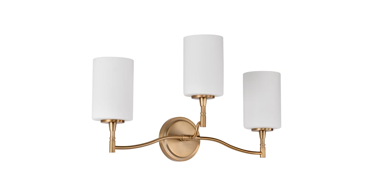 Nuvo Lighting 60/8203 Liam 3 Light 22" Wide Vanity Light | Ferguson Home