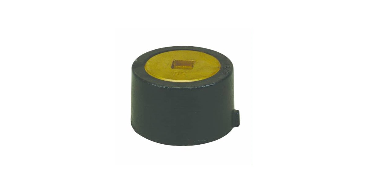 PROFLO PFPA4SVCSK 4" SV Push On Cleanout with CSK Plug | Build.com