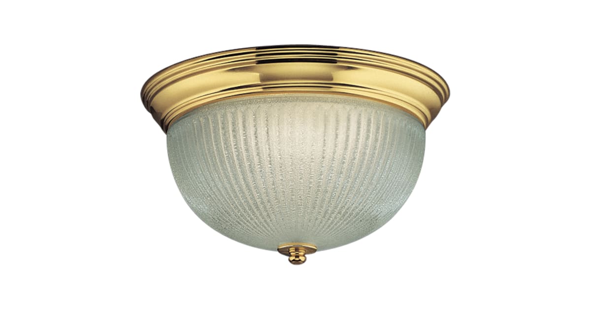 Progress Lighting P736410STR Energy Star Rated Tropical / Safari ...