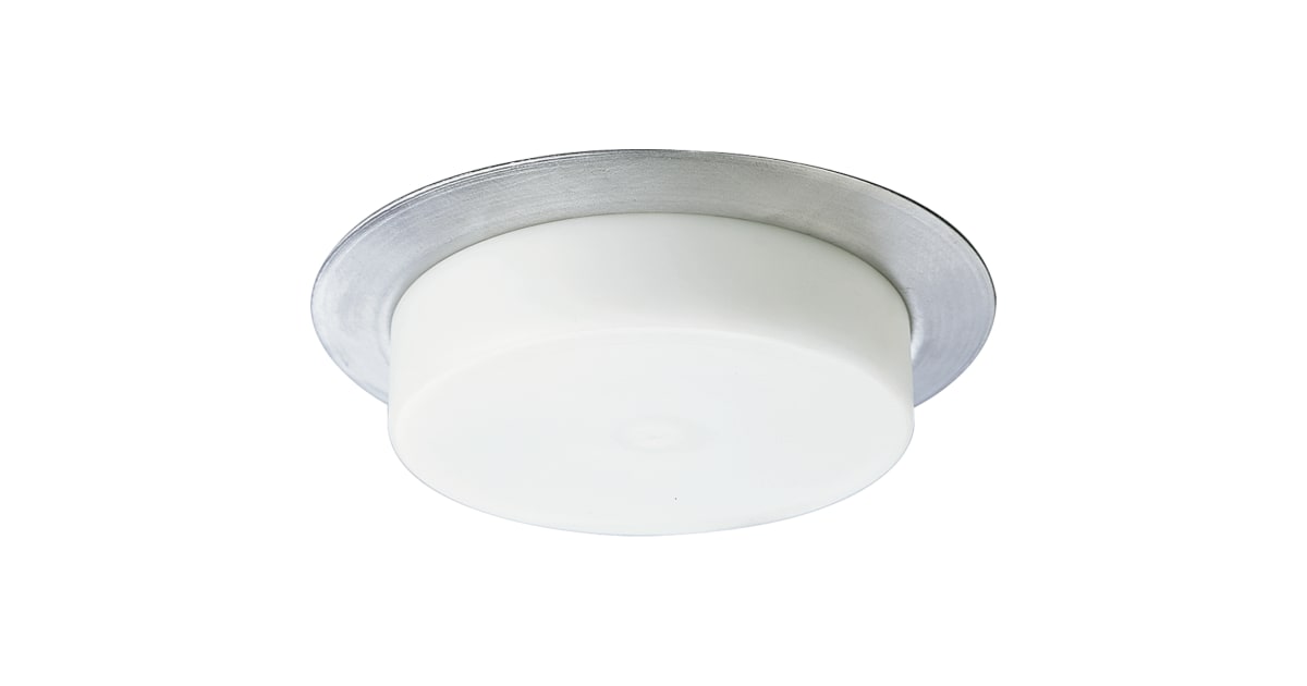 Progress Lighting P810916 5" Shower Trim with Opal Glass for PAR30, R20 ...