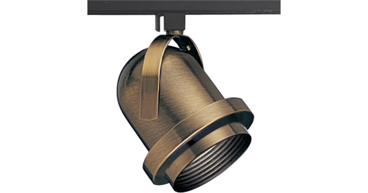 Progress Lighting P9209-11 Track Lighting Track Head | Build.com