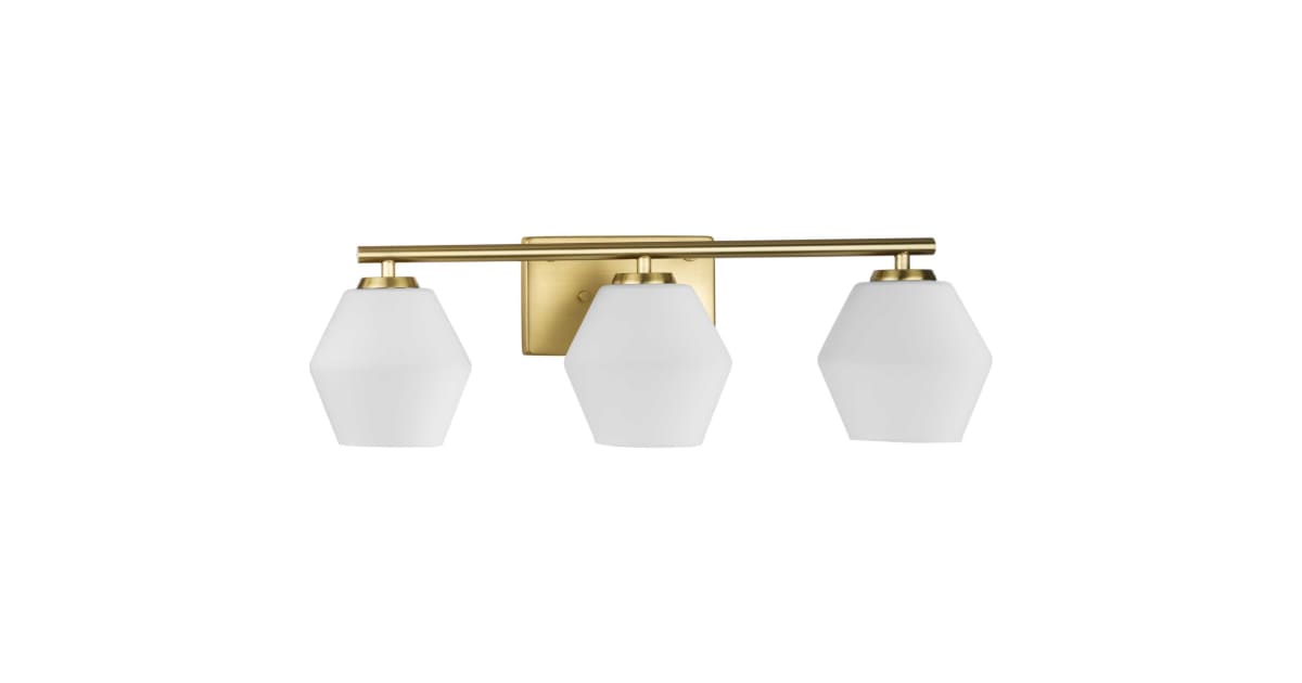 Progress Lighting P300432-191 Copeland 3 Light 24" Wide Vanity Light ...