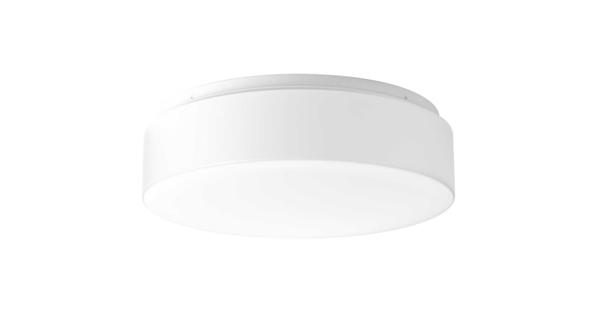 Progress Lighting P730002-030-30 Drums and Clouds Convertible 13-5/8 ...