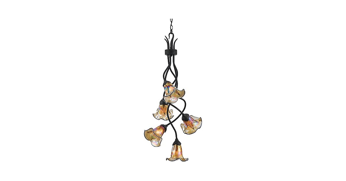 Quoizel BLFF5105IB 5 Light Down Lighting Chandelier/ Salamander Art ...