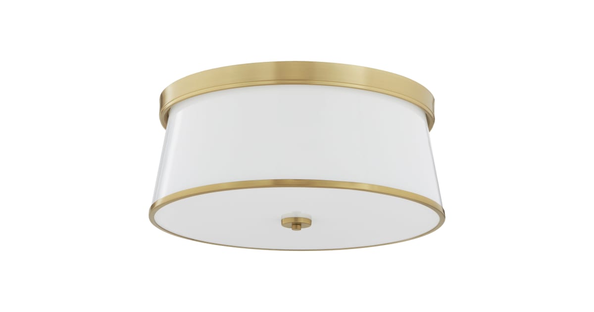 Quorum International 3203-20-80 Wallinger 4 Light 20" Wide Flush Mount ...