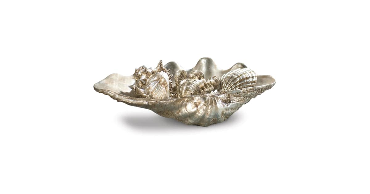 Regina Andrew 20-1003 Clam 19" Wide Shell Medium W/Small Shells ...