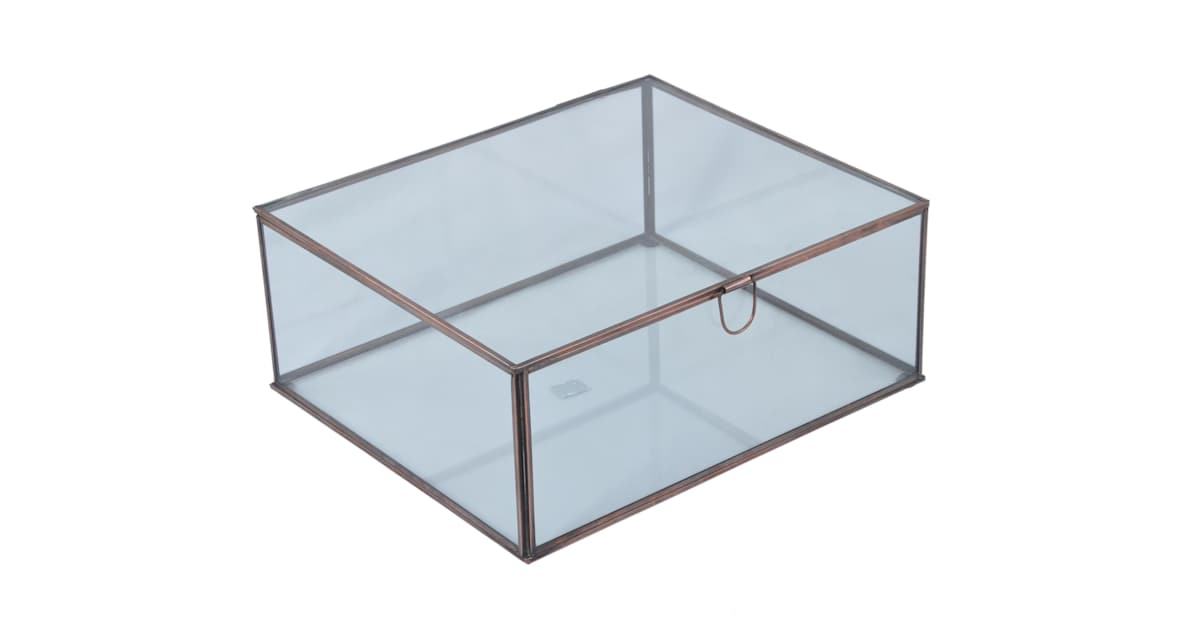 Ren Wil STA391 Adrian Large Rectangular Glass Display Case with Iron ...