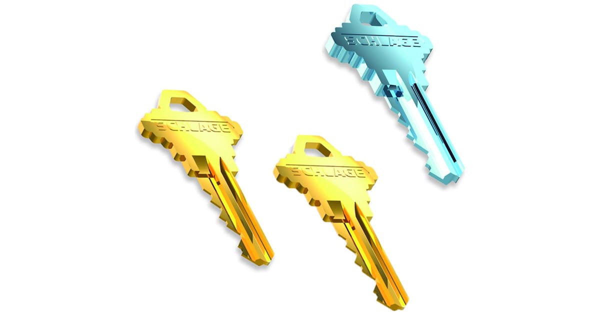 Schlage 40189 SecureKey Set of Keys To Reset----(2) Brass Keys and (1 ...