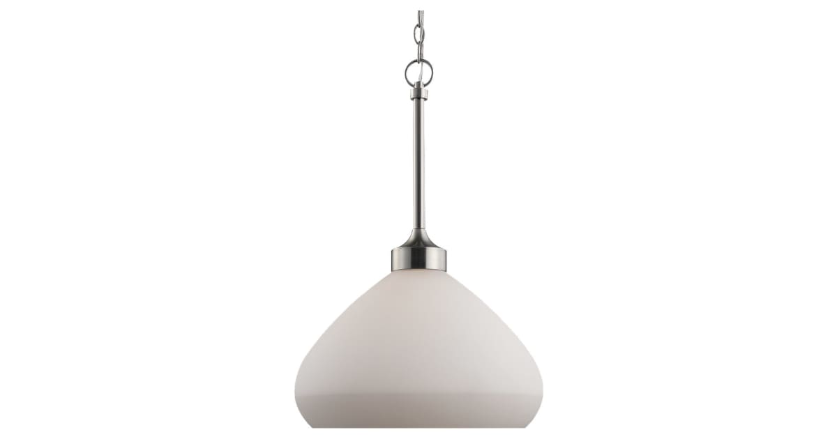 Sea Gull Lighting 65770-962 Single Light Pendant from Chadwick ...