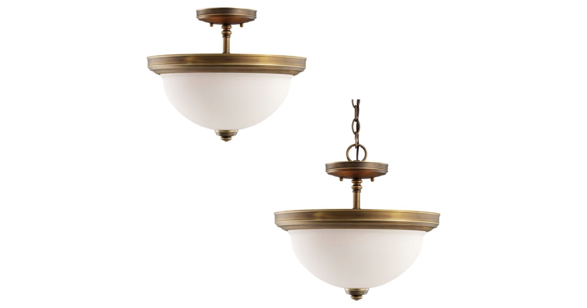 Sea Gull Lighting 77885-898 Two Light Dual Mount Ceiling Fixture from ...