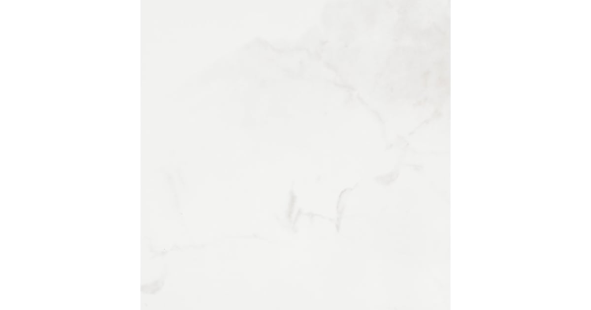 Shaw CS15M-00170 Maximus - 18" Square Floor and Wall Tile - Sold by ...