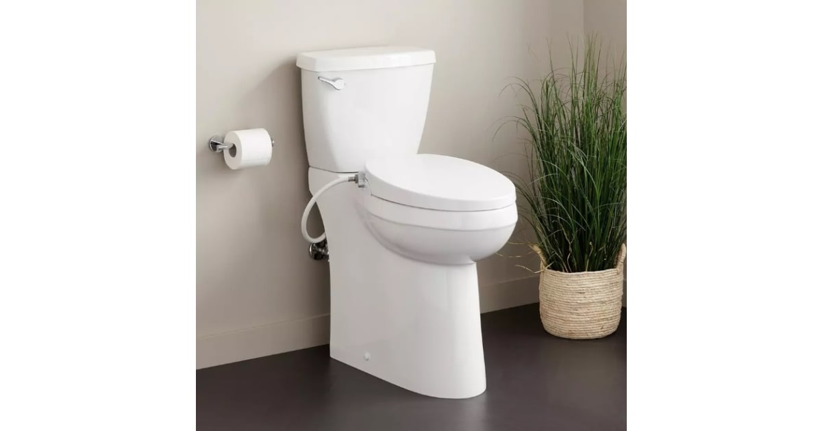 Signature Hardware 479095 Bradenton Two-Piece Skirted Elongated Toilet ...