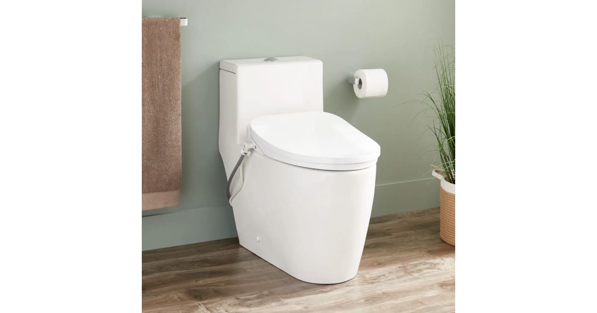 Signature Hardware SHK450177 Sitka 1.28 GPF One-Piece Elongated Skirted ...