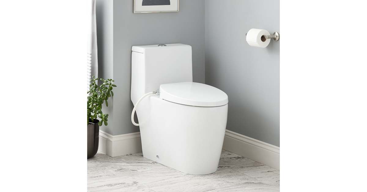 Signature Hardware SHK481678 Sitka 1.28 GPF One Piece Elongated Toilet ...