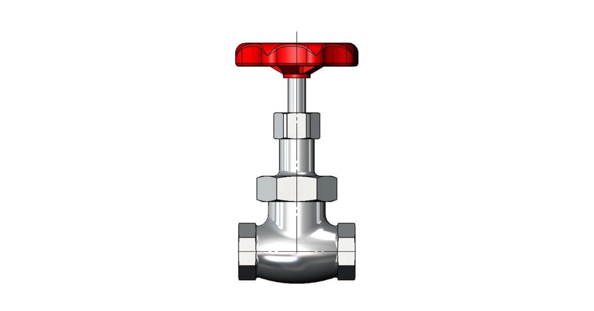 T and S Brass 006647-25 1/2" Globe Valve, Rough Chrome Plated (Standard ...