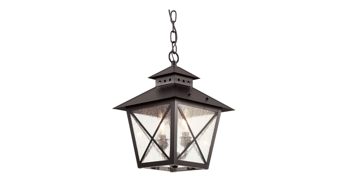 Trans Globe Lighting 40174 BK 2 Light 14.5" Outdoor Pendant with Clear ...