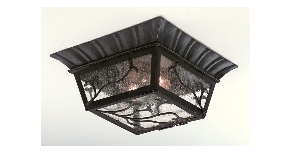 Troy Lighting C9480FBK Two Light Outdoor Ceiling Fixture from the ...