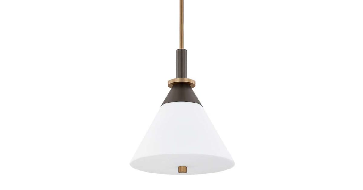 Troy Lighting F4216-PBR/BRZ Staton 16" Wide Pendant | Ferguson Home