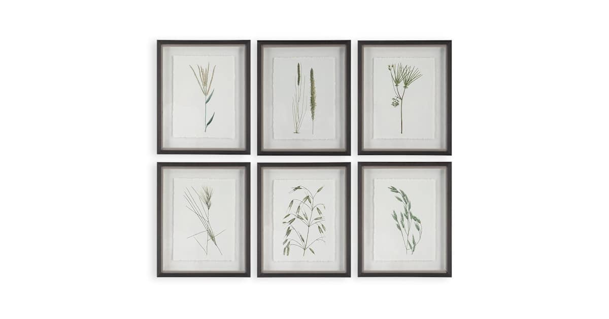 Uttermost 41459 Forest Finds 22" x 18" Framed Botanical Graphic Print ...