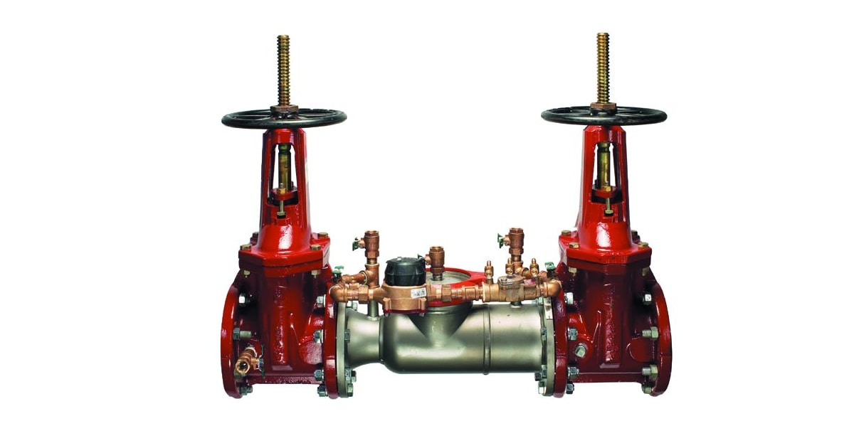 Watts 0438029 8" Short Lay Length Stainless Steel Double Check Detector ...