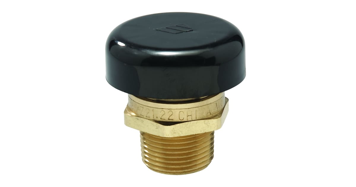 Watts 0556030 1/2" Lead Free Brass Vacuum Relief Valve with Male NPT ...