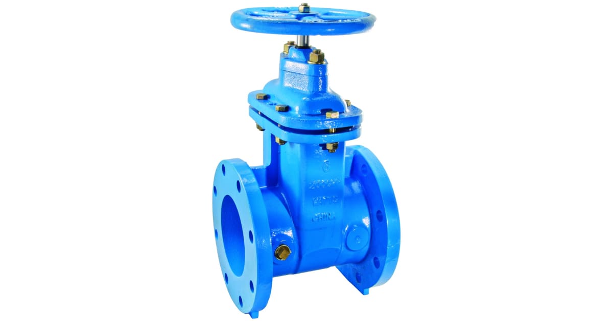 Watts 0700105 4" Resilient Wedge Gate Valve | Ferguson Home