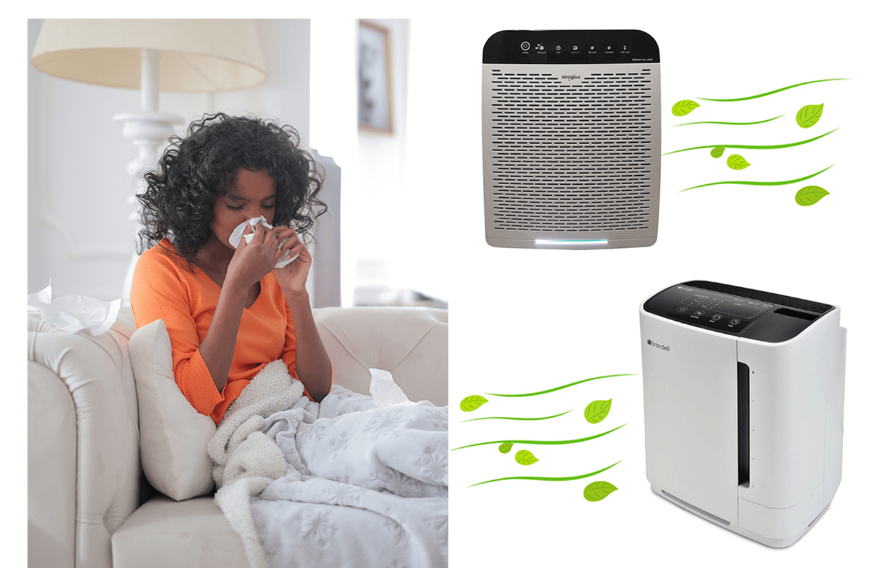 Air purifier for seasonal allergies store