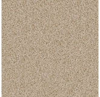 Shaw 6E009-00103 Floorigami Carpet Diem 9" x 36" | Build.com