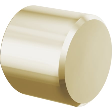 Brizo HKK175-PN Odin Kitchen Faucet Handle Kit - Metal Knob | Ferguson Home