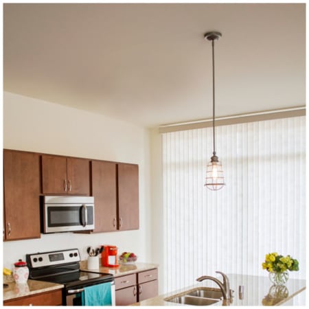 Design House 519645 Ajax 6" Wide Mini Pendant with Metal Cage | Build.com