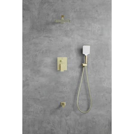 Elegant Lighting FAS-9004BGD Petar Shower Only Trim Package with 2.3 ...